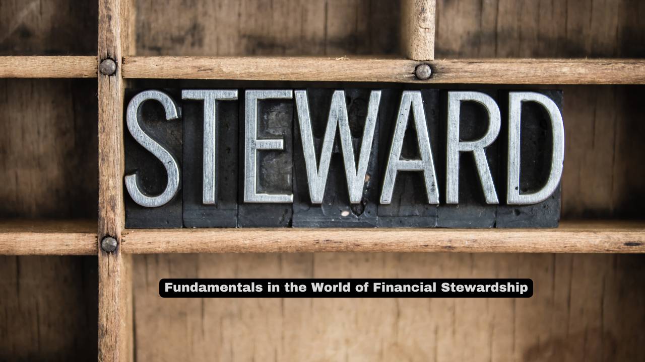 Fundamentals in the World of Financial Stewardship