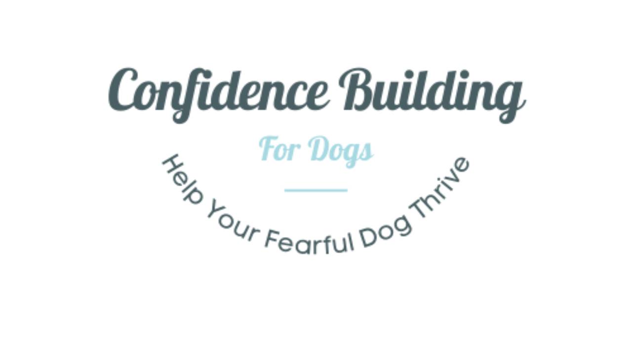 Confidence Building For Dogs Waitlist