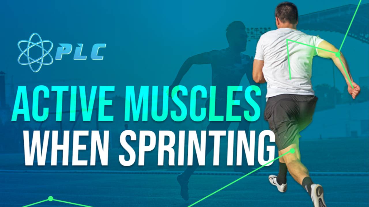 Active Muscles While Sprinting