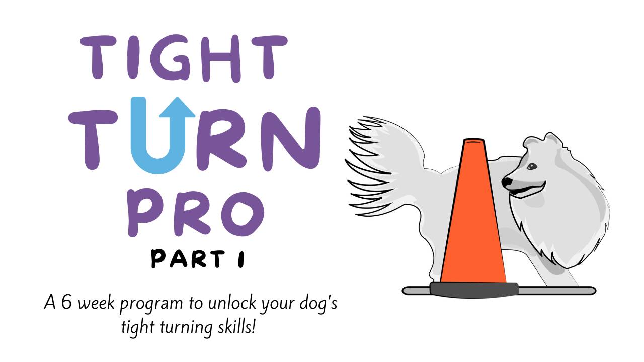 Tight Turn Pro Part 1