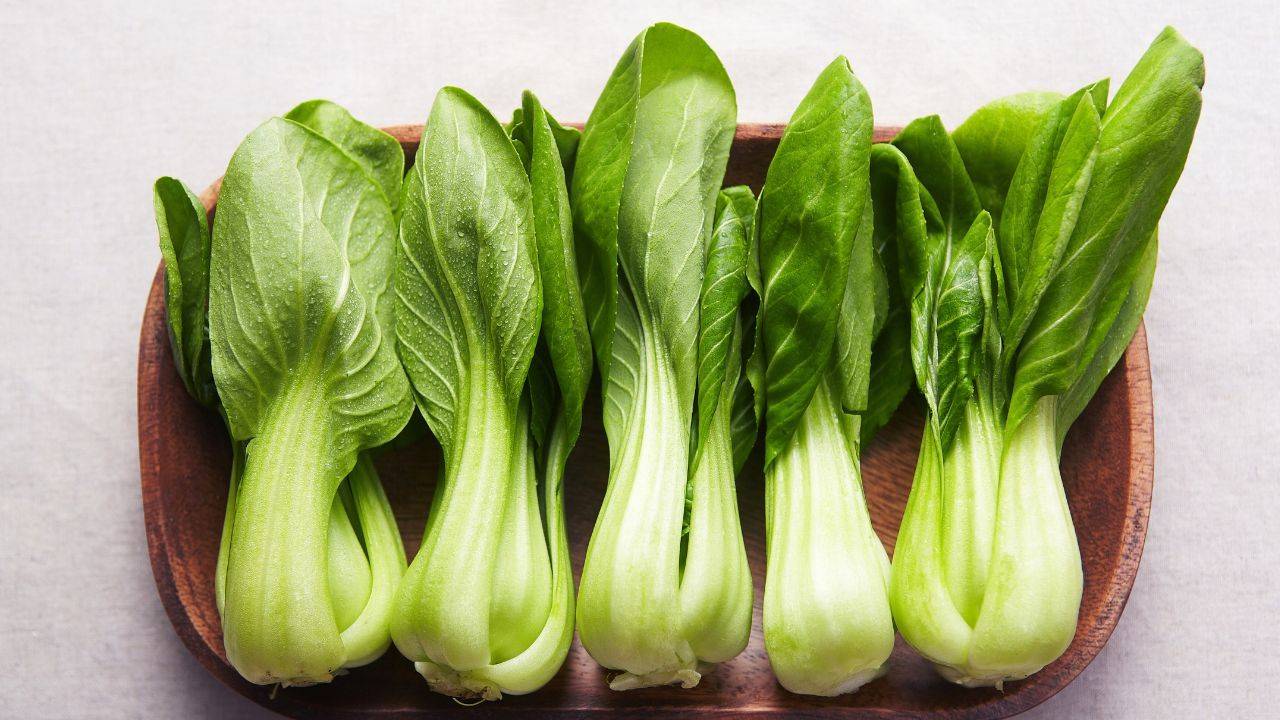 PlantNourished | What's Bok Choy and How Do You Enjoy It?