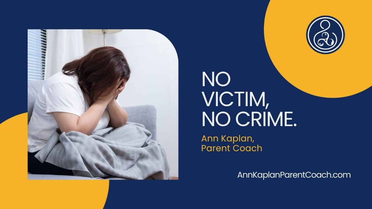 No Victim - No Crime