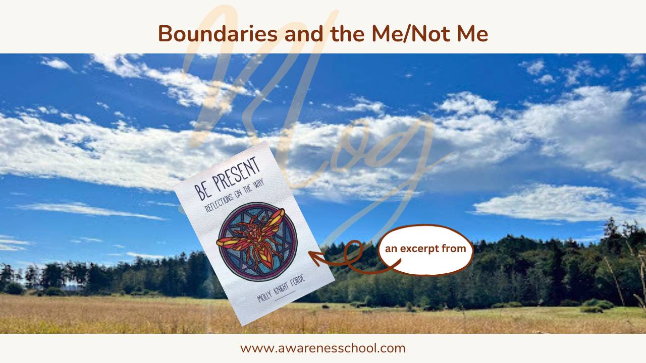 Boundaries and the Me/Not Me