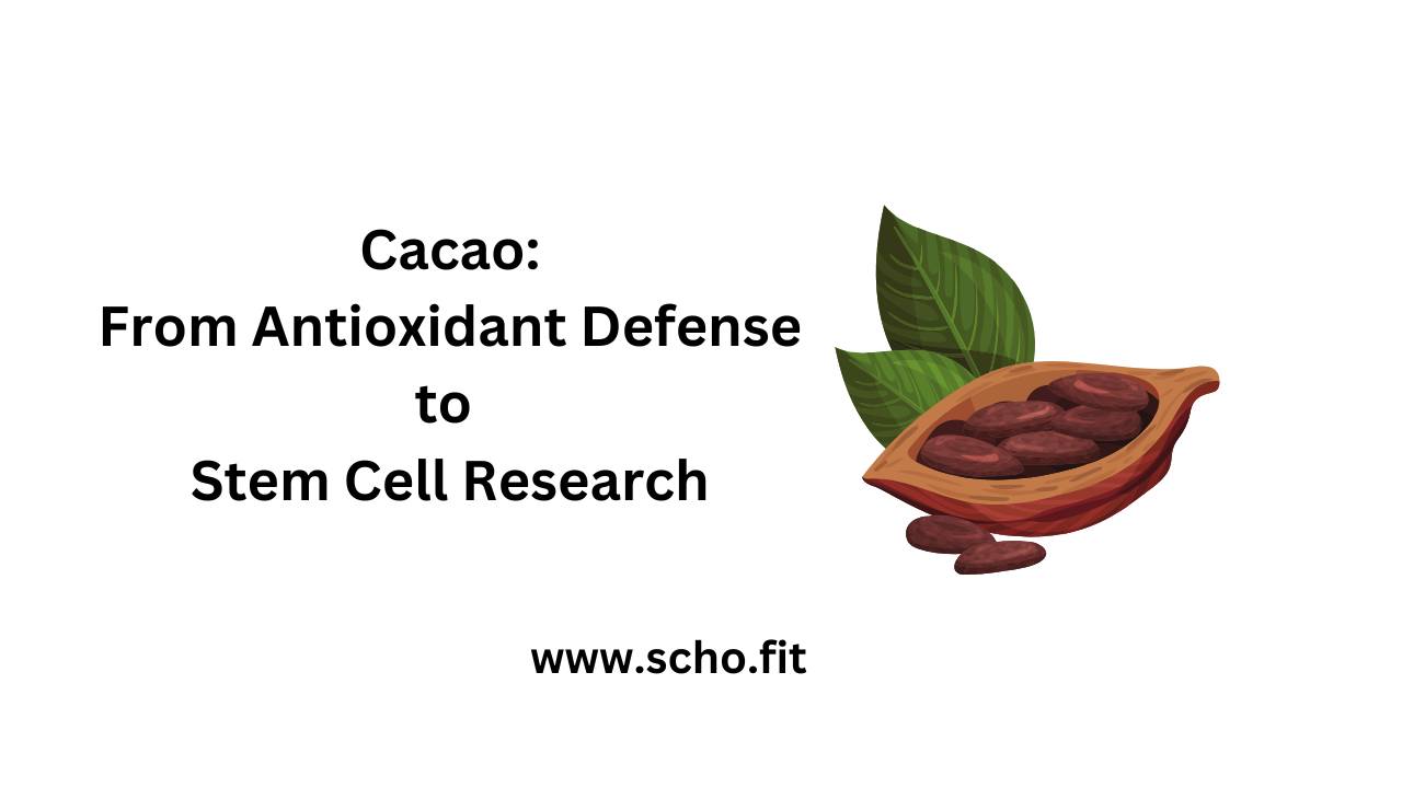 Cacao: From Antioxidants to Stem Cell Research