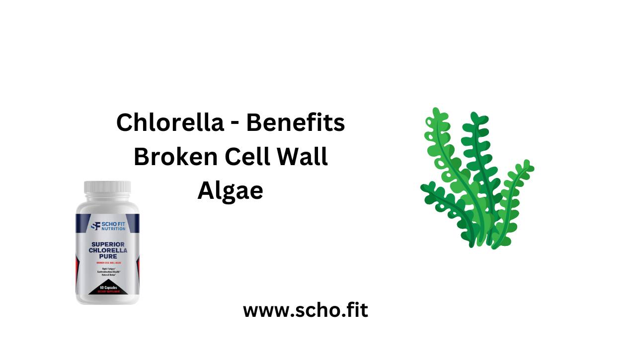 Chlorella Benefits