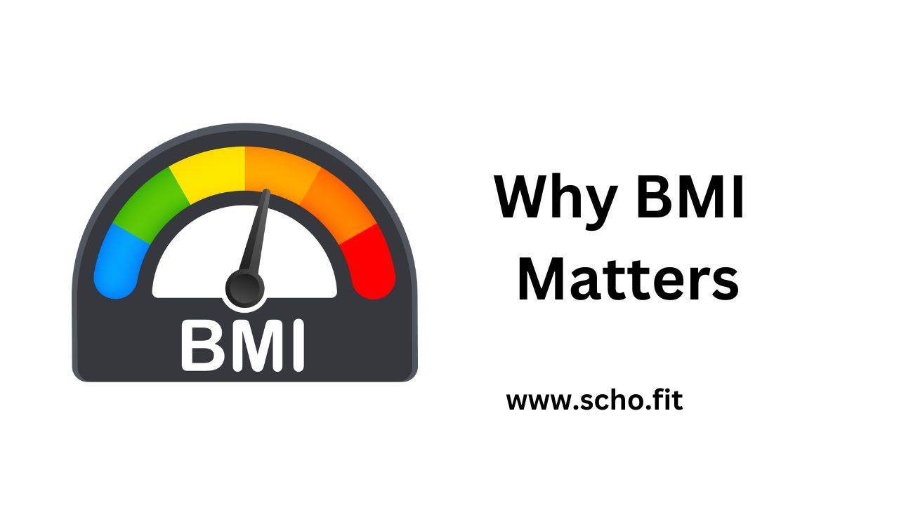 Why Your BMI Matters