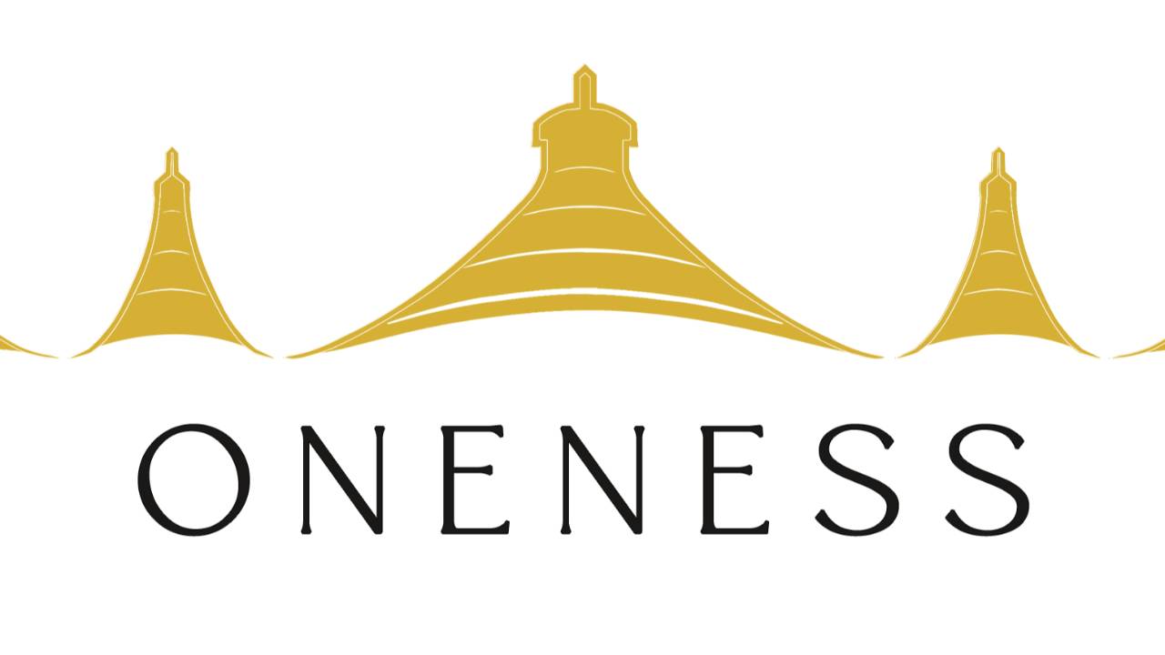 About The Oneness Movement