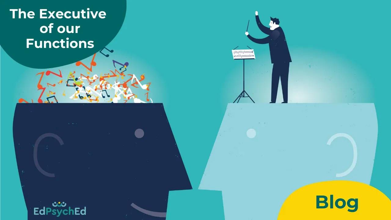 The Executive of our Functions