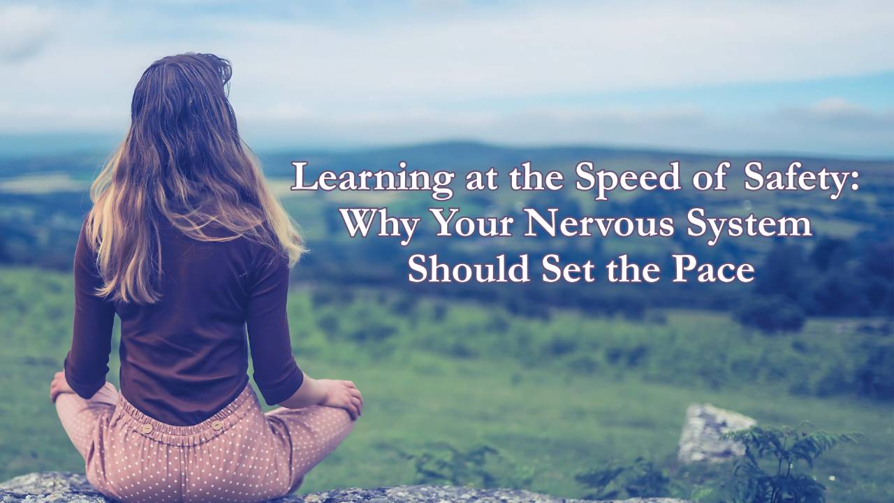 🌀 Learning at the Speed of Safety