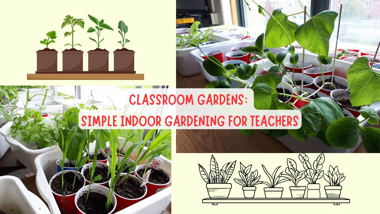 Classroom Gardens: Simple Indoor Gardening for Teachers