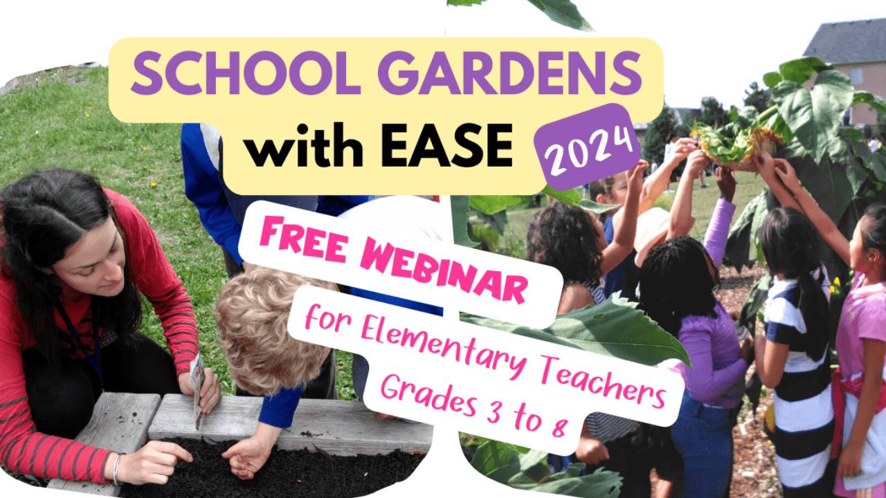 The Essential Principles for Growing Thriving School Gardens