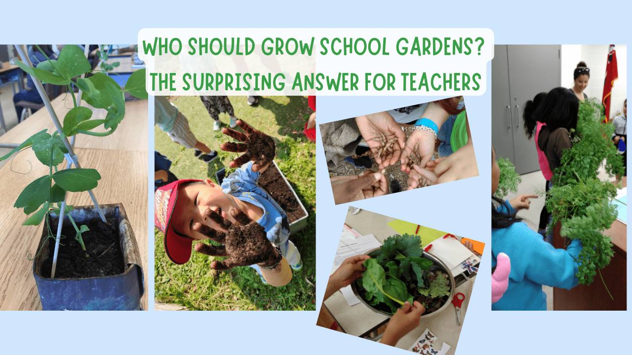 Who Should Grow School Gardens? The Answer for Teachers