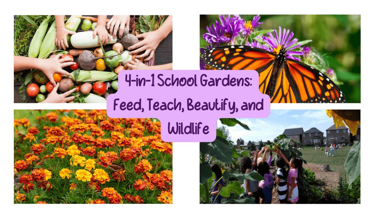 4-in-1 School Gardens: Feed, Teach, Beautify, and Attract Wildlife