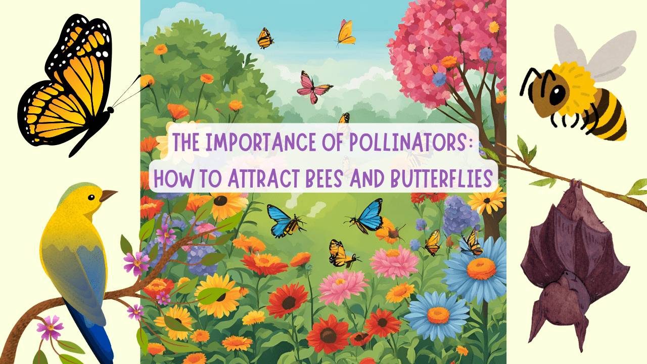 Attract Bees & Butterflies: The Importance of Pollinators