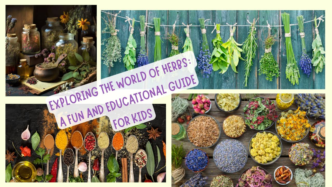 Exploring the World of Herbs: A Fun and Educational Guide for Kids