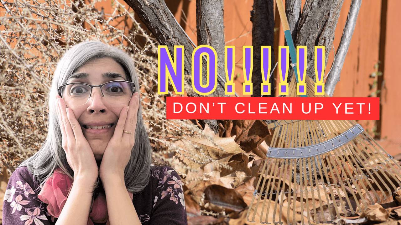 Pause! Hold That Rake! | School Gardens with Ease