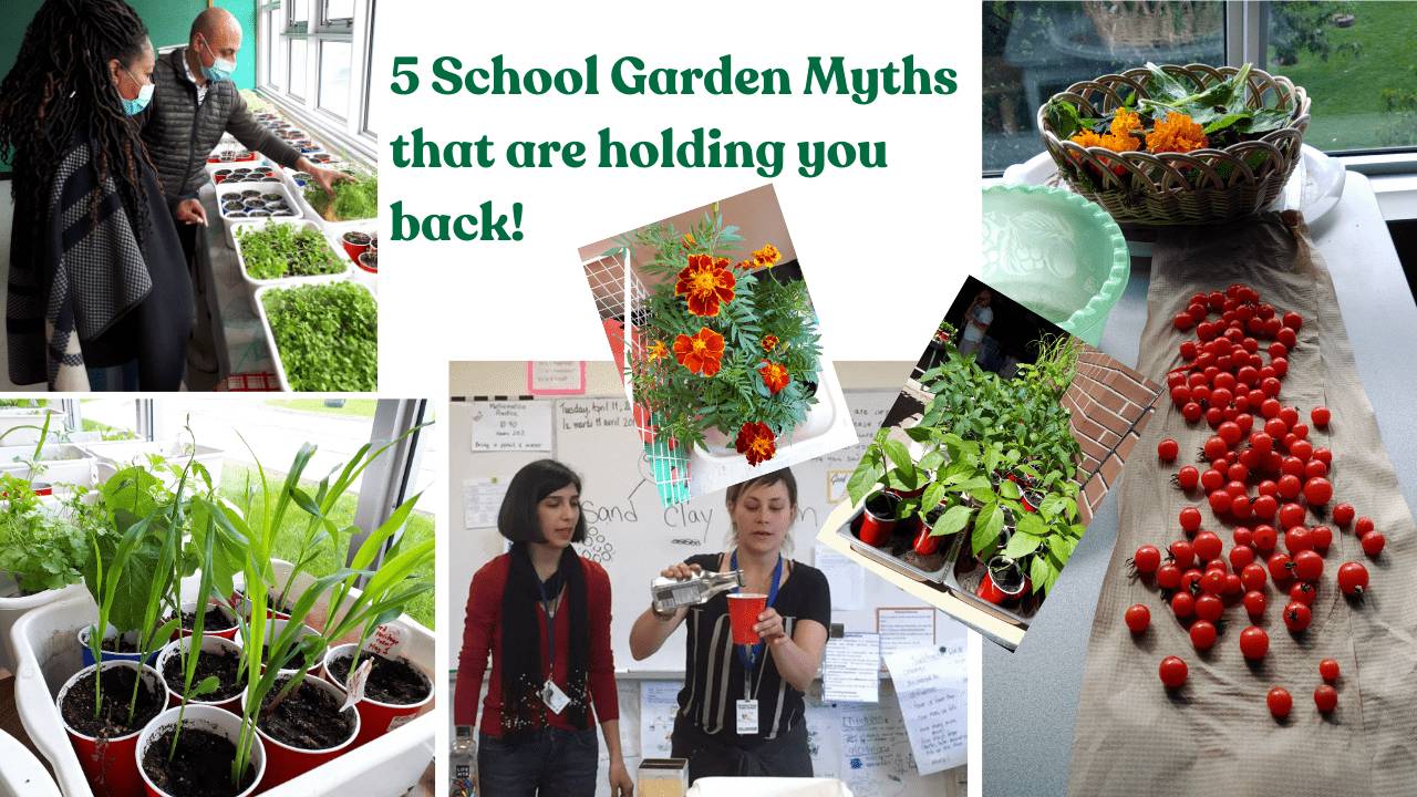 5 School Garden Myths That Are Holding You Back | Easy Gardening