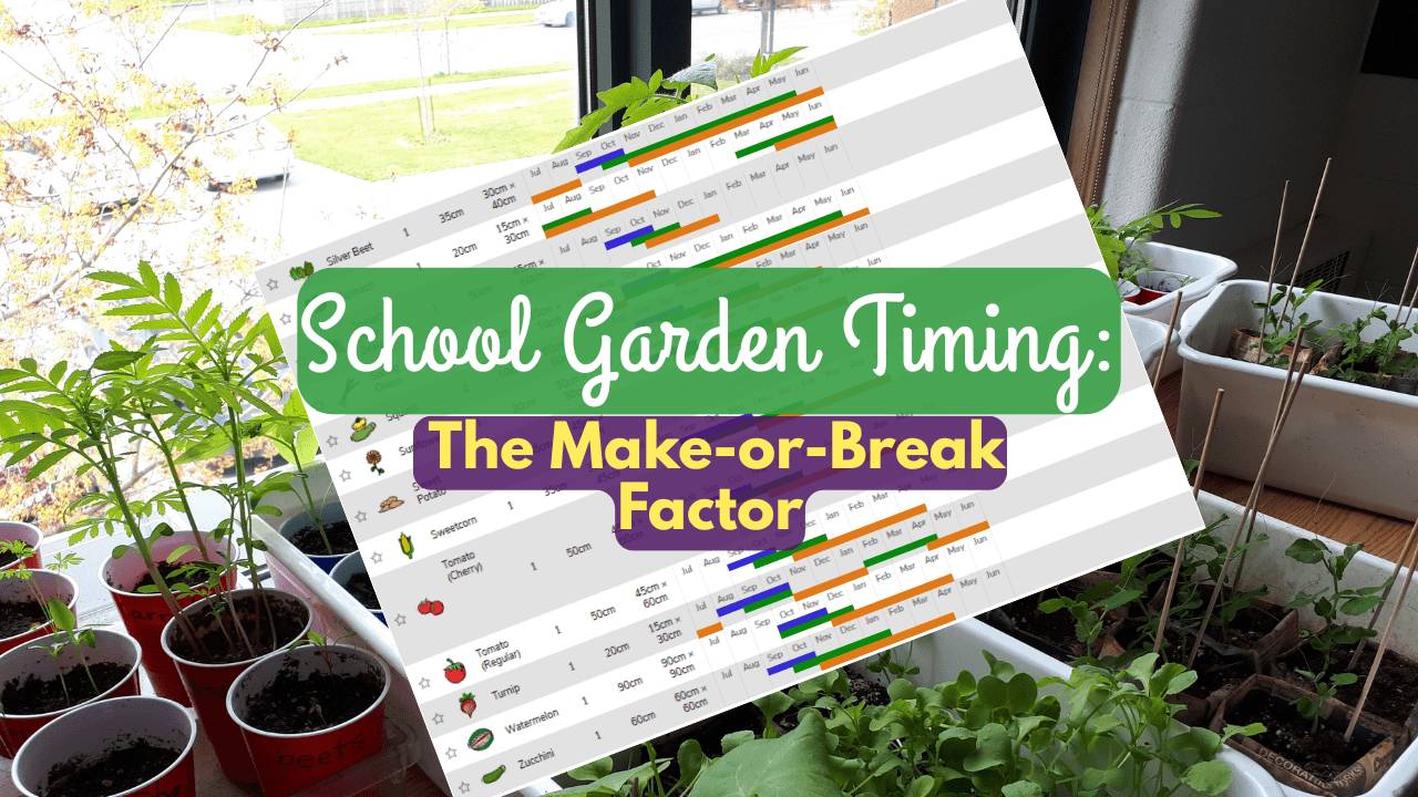Why School Gardens Fail: Planting Timing Mistakes