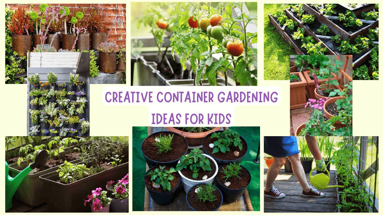 Creative Container Gardening Ideas for Kids