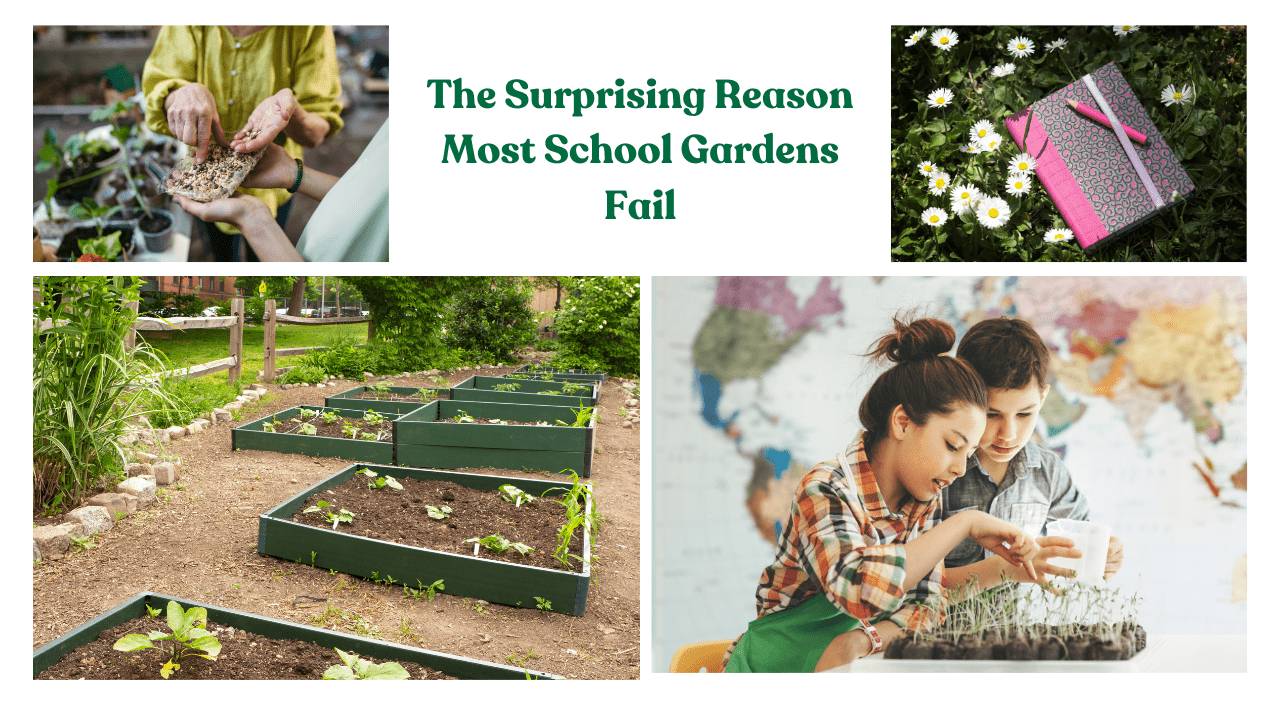 The Surprising Reason Most School Gardens Fail & How to Avoid It