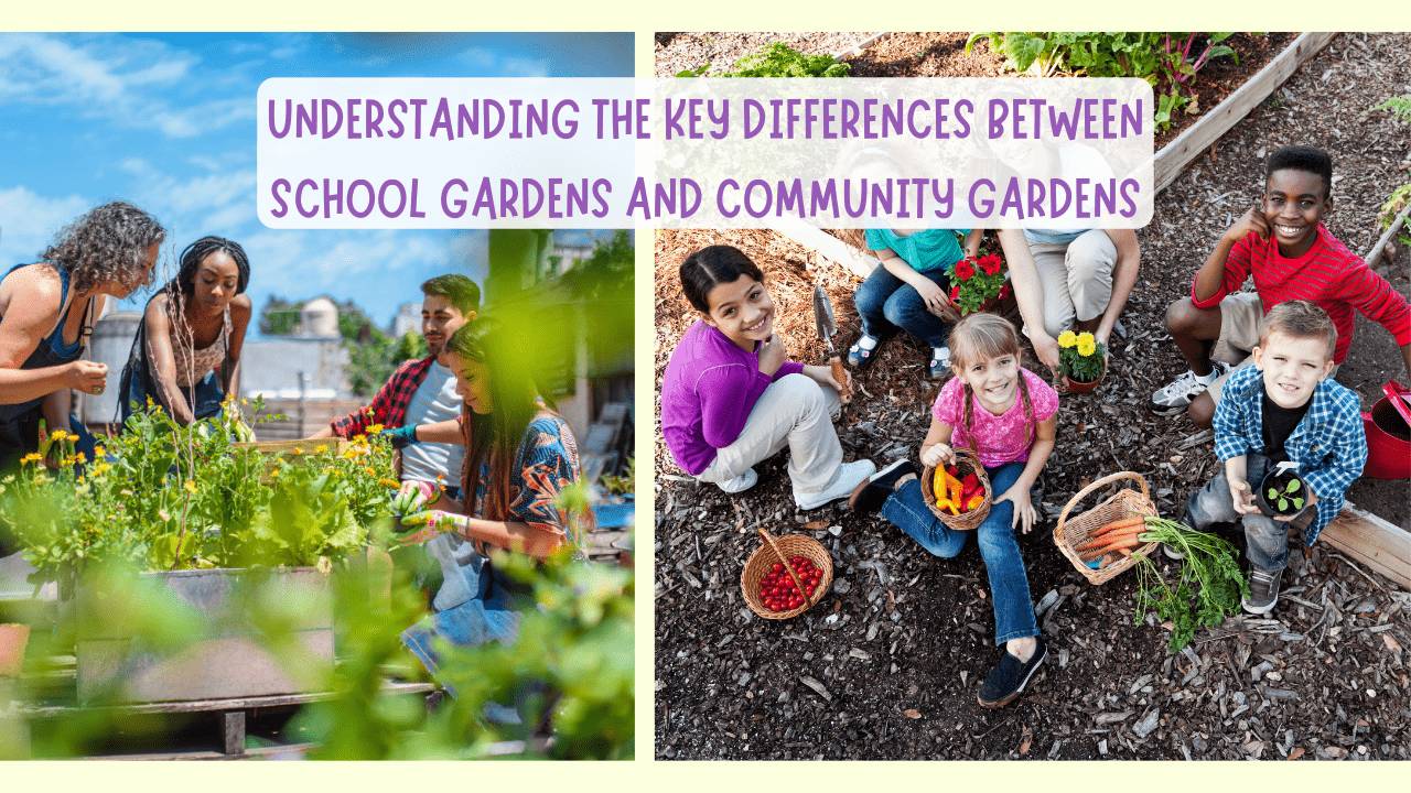 School Gardens vs. Community Gardens: Key Differences Explained