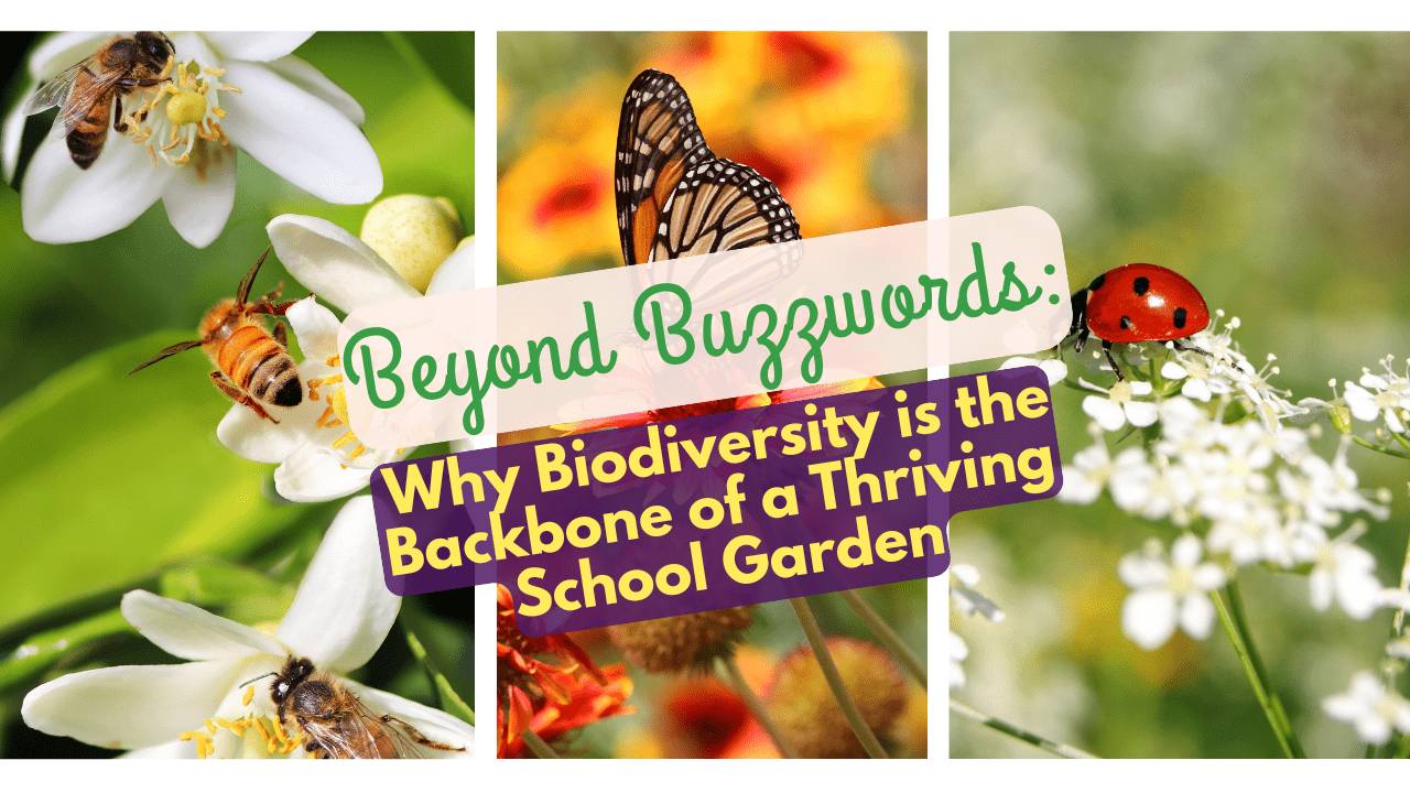 Biodiversity in School Gardens: A Permaculture Approach