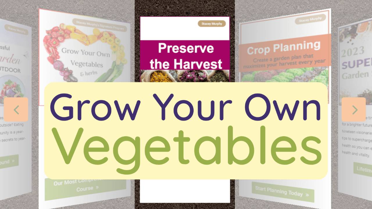 Cultivating Green Dreams, Kids Growing City & Grow Your Own Vegetables