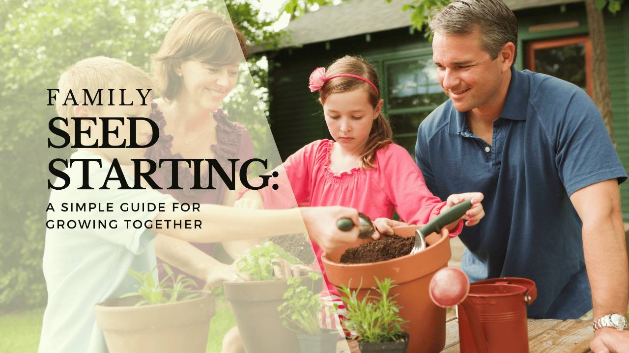 Family Seed Starting: A Simple Guide for Growing Together