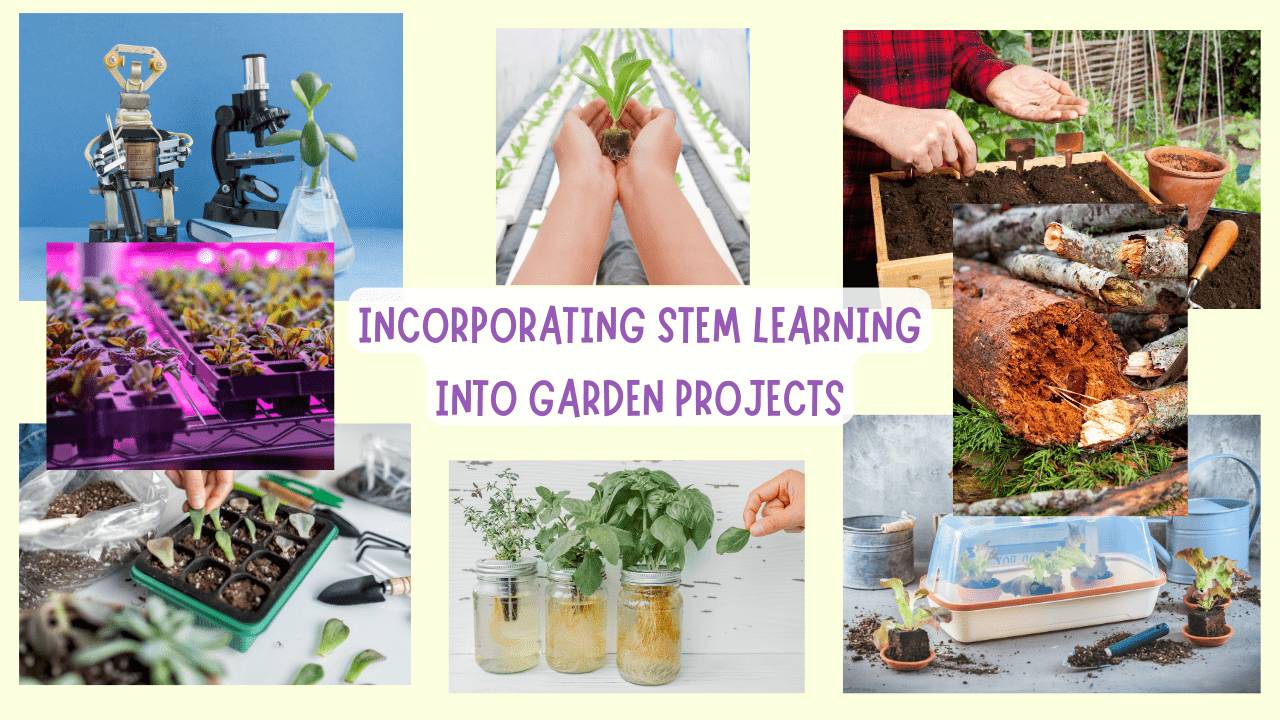 Incorporating STEM Learning into Garden Projects
