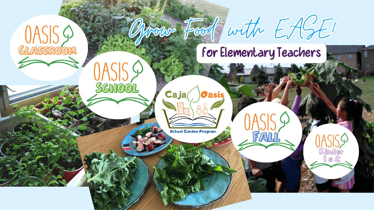 Classroom and School Garden Programs for Teachers | KidsGrowingCity.ca