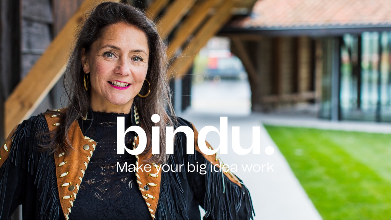 bindu • Ideas into Existence