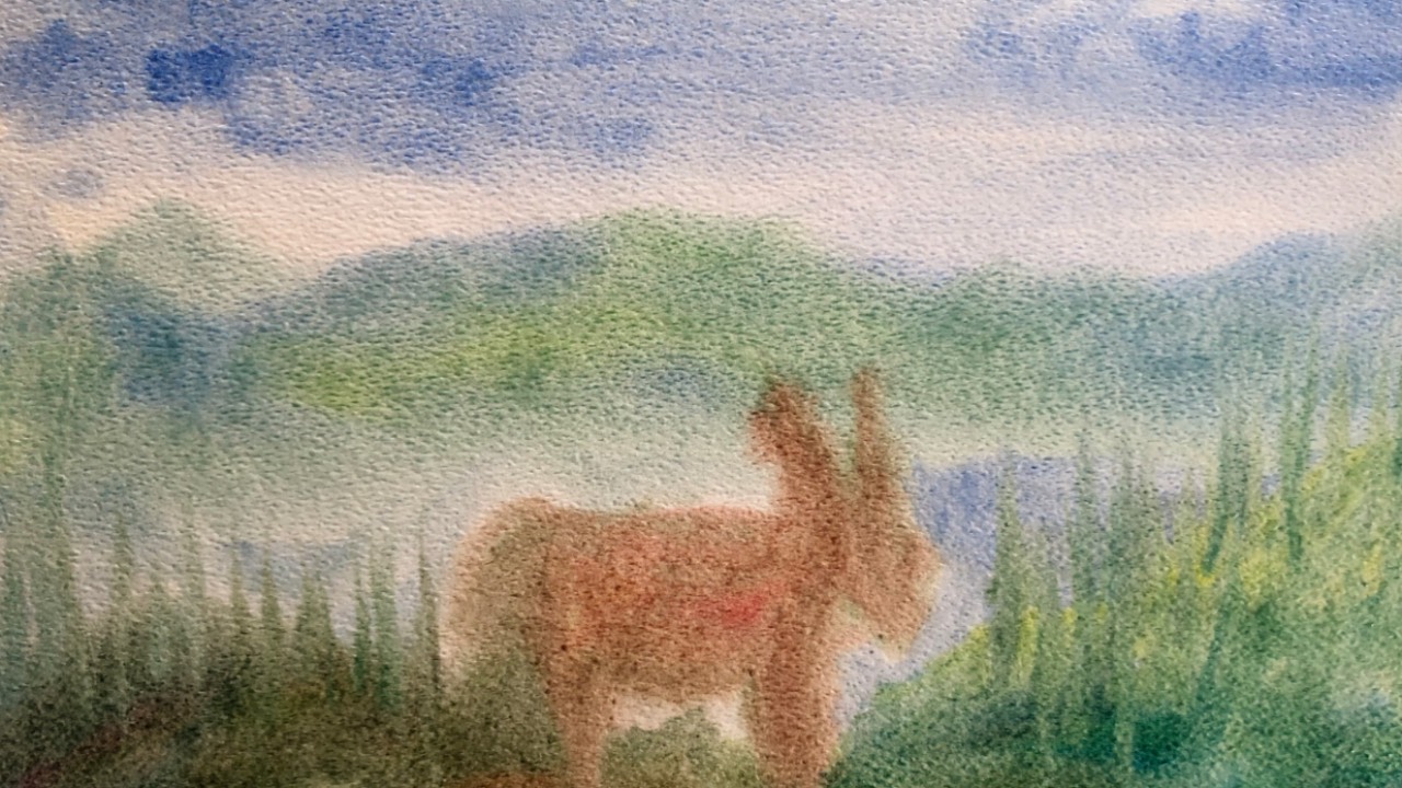 Waldorf Grade 6 Classes Online for Waldorf Homeschool Families