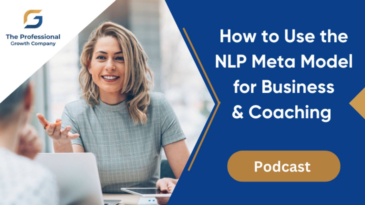 Meta Model NLP | How To Use The NLP Meta Model in Business