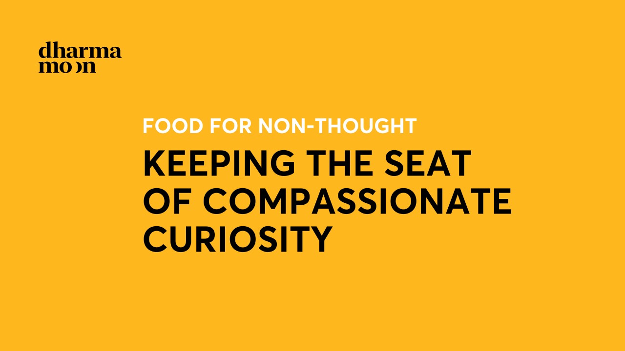 Keeping the Seat of Compassionate Curiosity