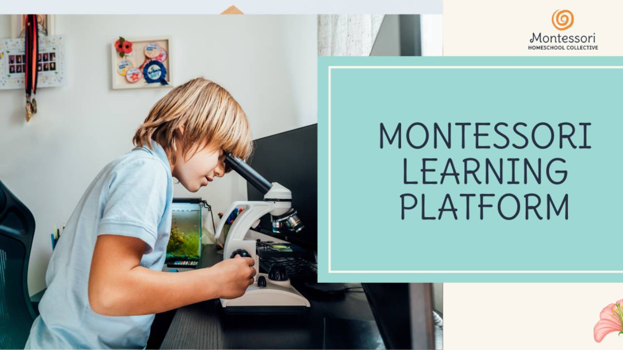Montessori Homeschool Collective