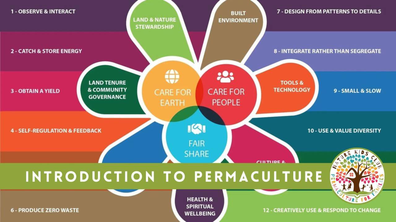 So what is permaculture anyway?