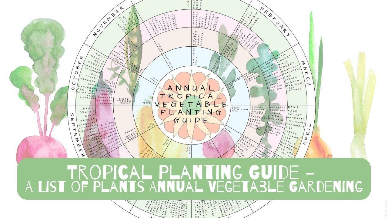 Tropical Planting Guide - A List of Plants Annual Vegetable Gardening