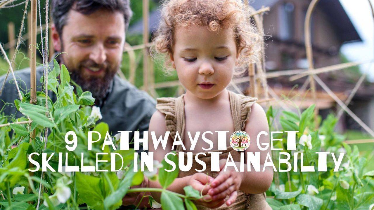 9 Pathways to Get Skilled in Sustainability!