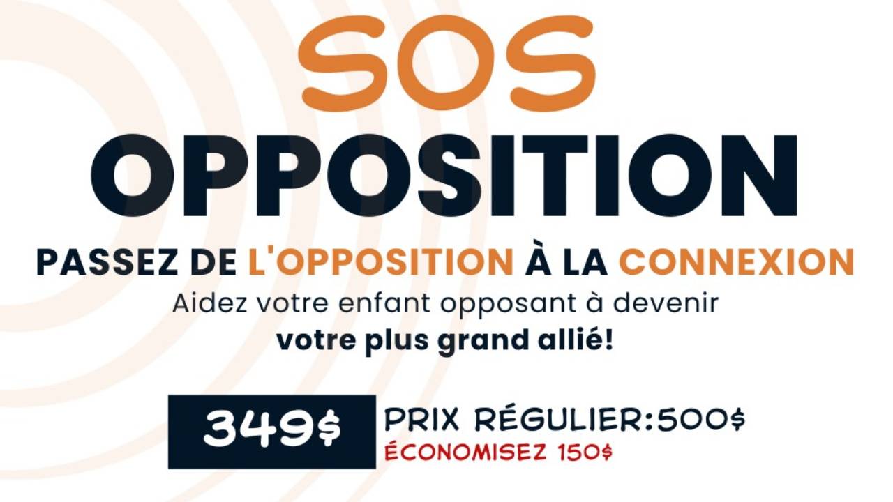 SOS Opposition - Programme d'accompagnement