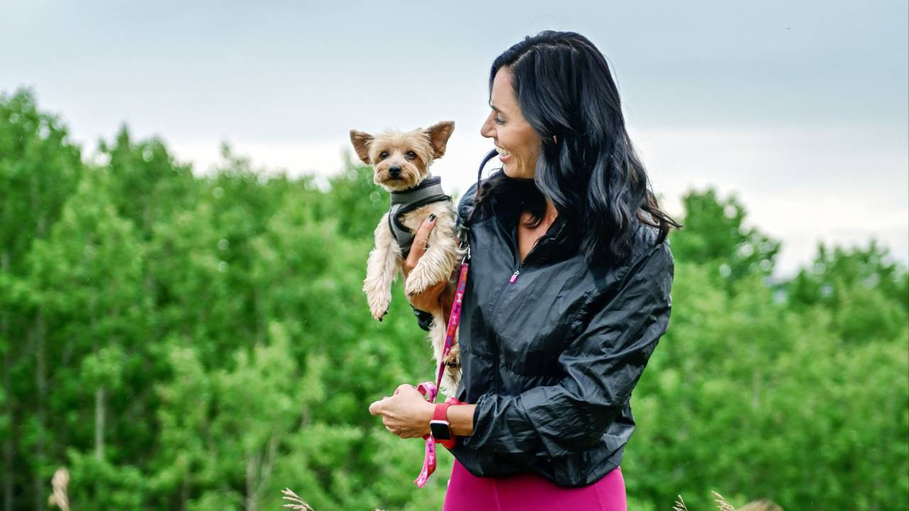 Chasing Shiny Objects…. - Amy Johnston Fitness