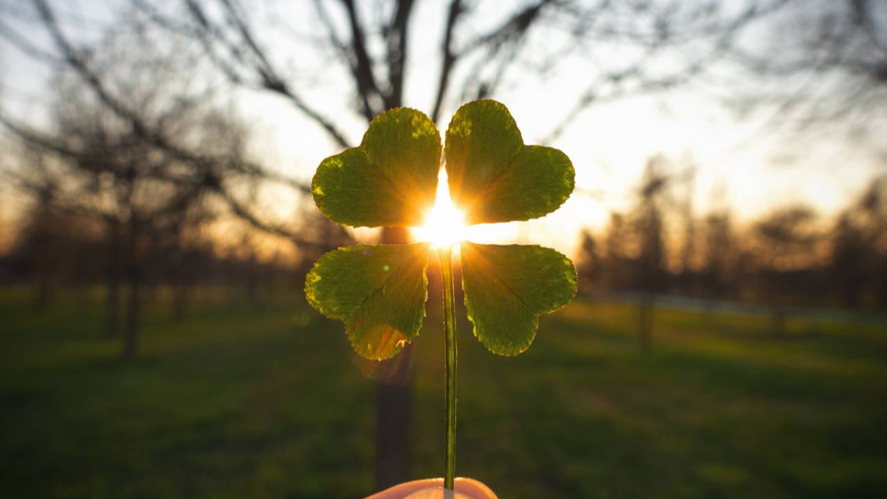 Life Is Not About Luck