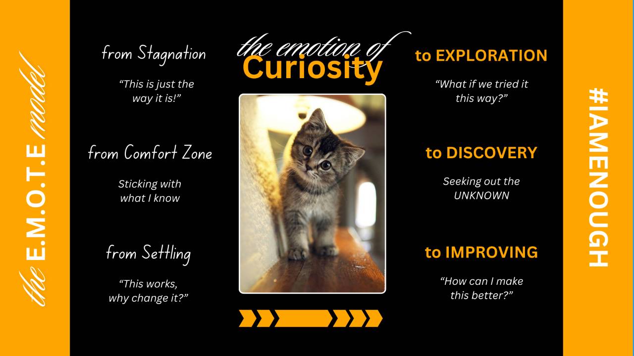 Curiosity: The Key to Growth, Innovation, and Success