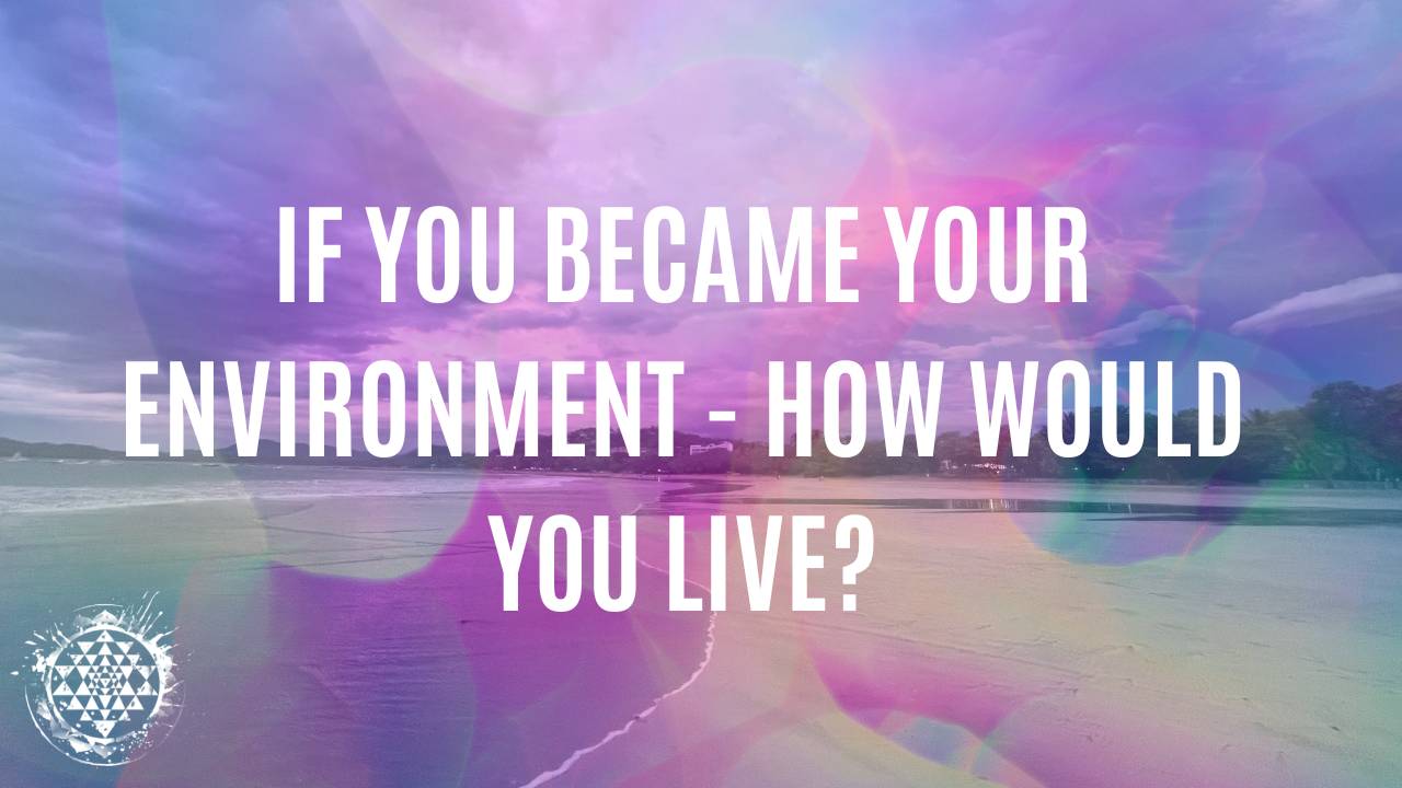 If You Became Your Environment - How Would You Live?