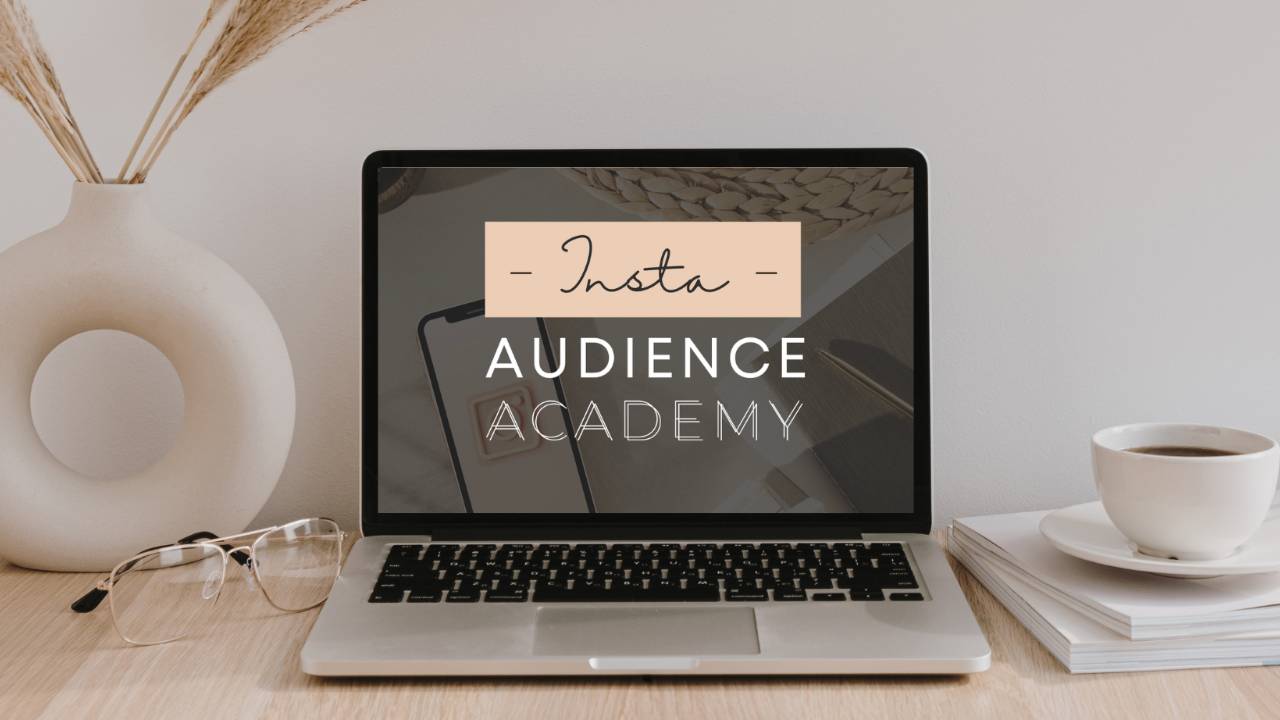 The Insta Audience Academy