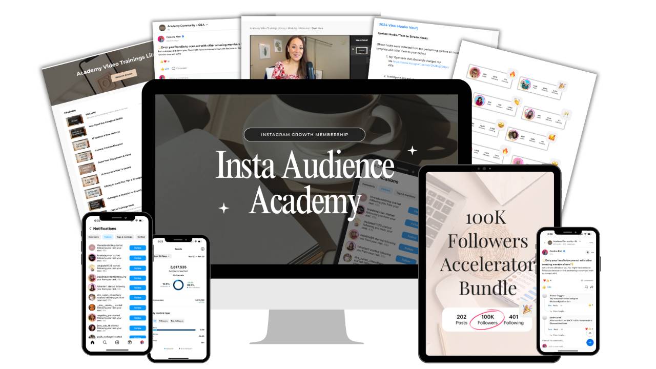 The Insta Audience Academy