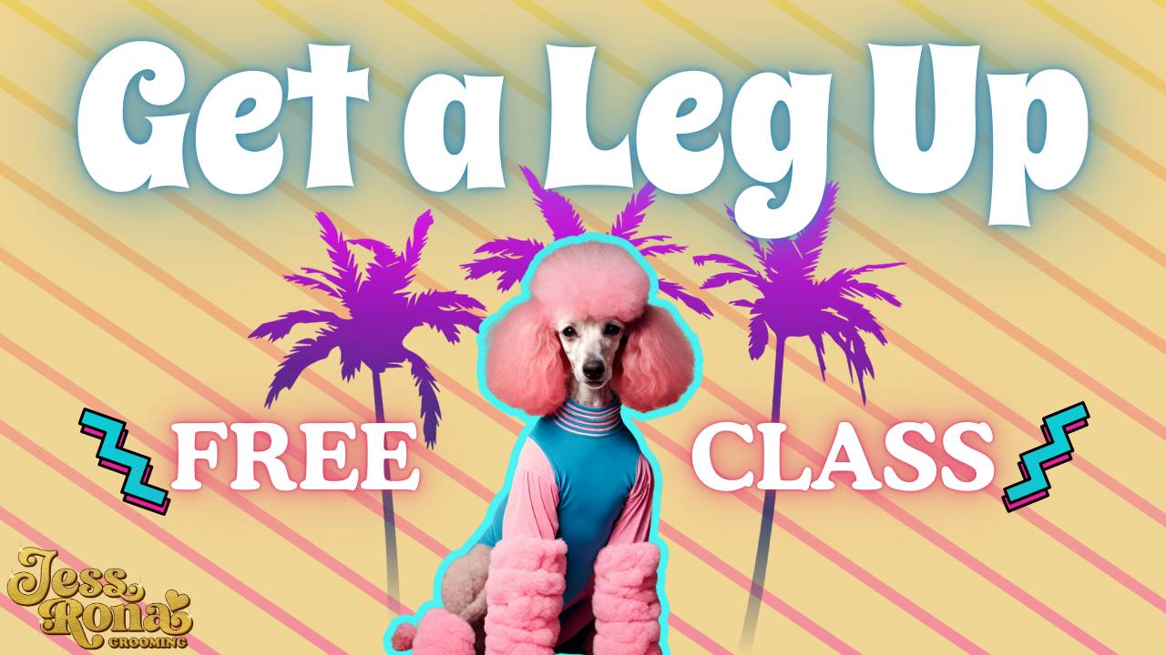 Get a Leg Up Live Webinar - March 2025