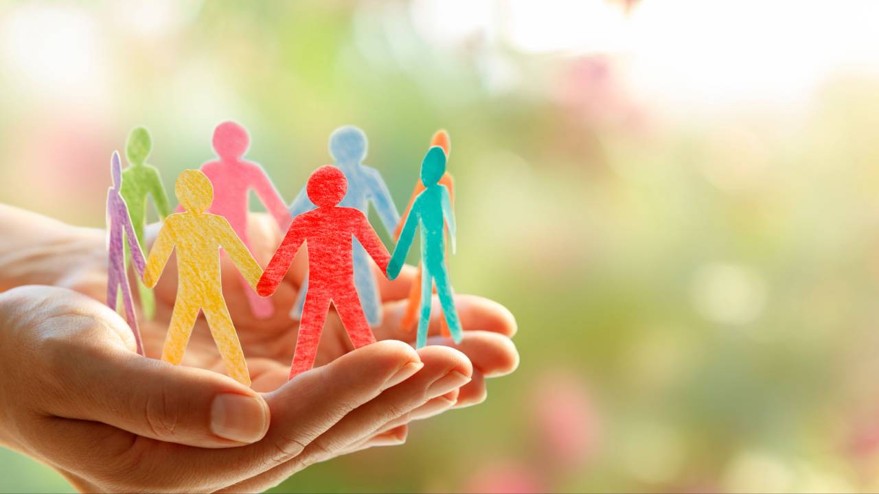 Therapy that Works - Why a Unifying Framework?