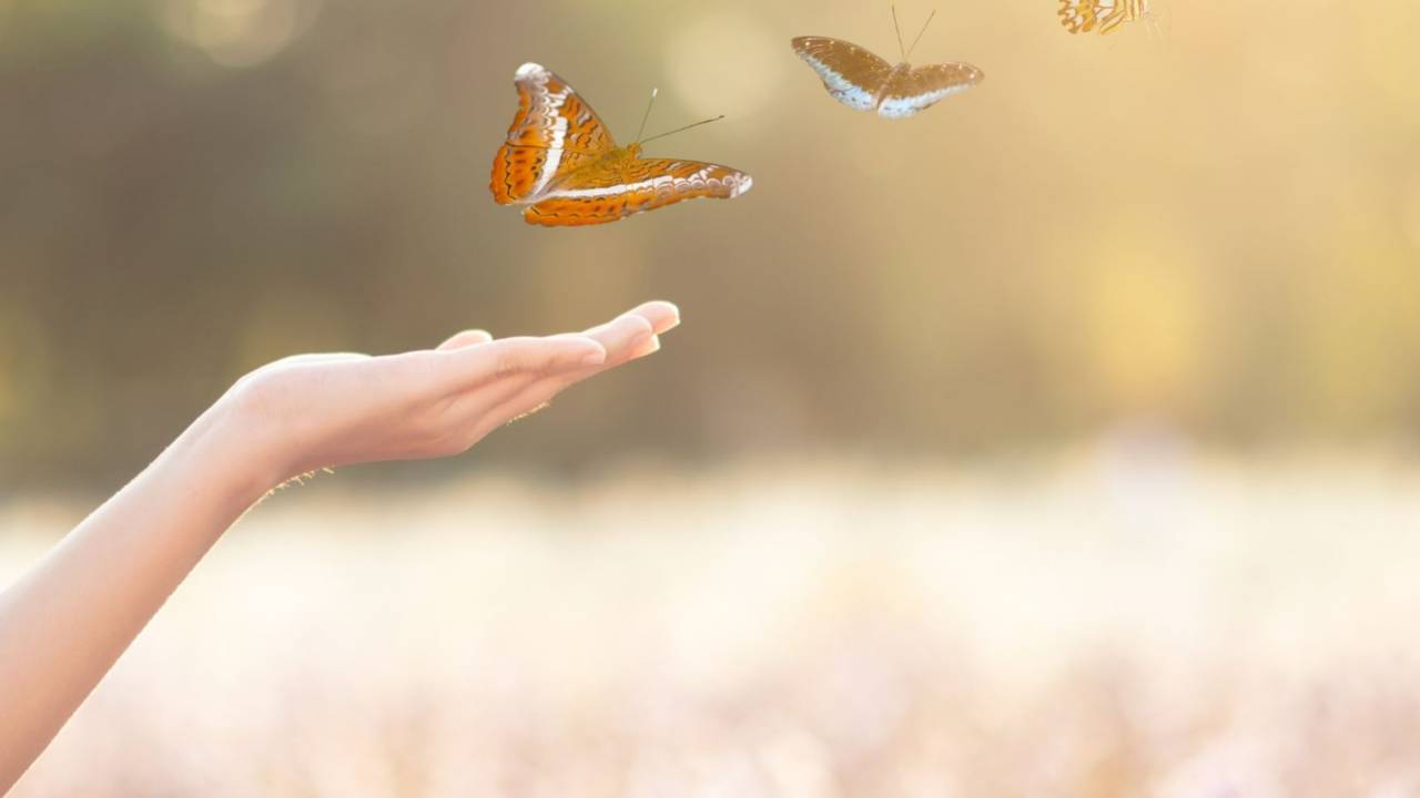 Rites & Rituals Reading Guide