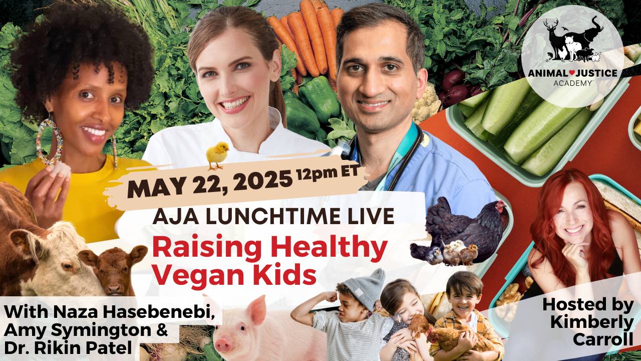 Animal Justice Academy Lunchtime Live Registration