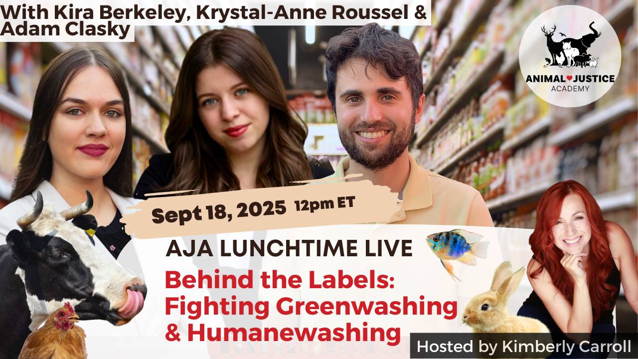 Animal Justice Academy Lunchtime Live Registration